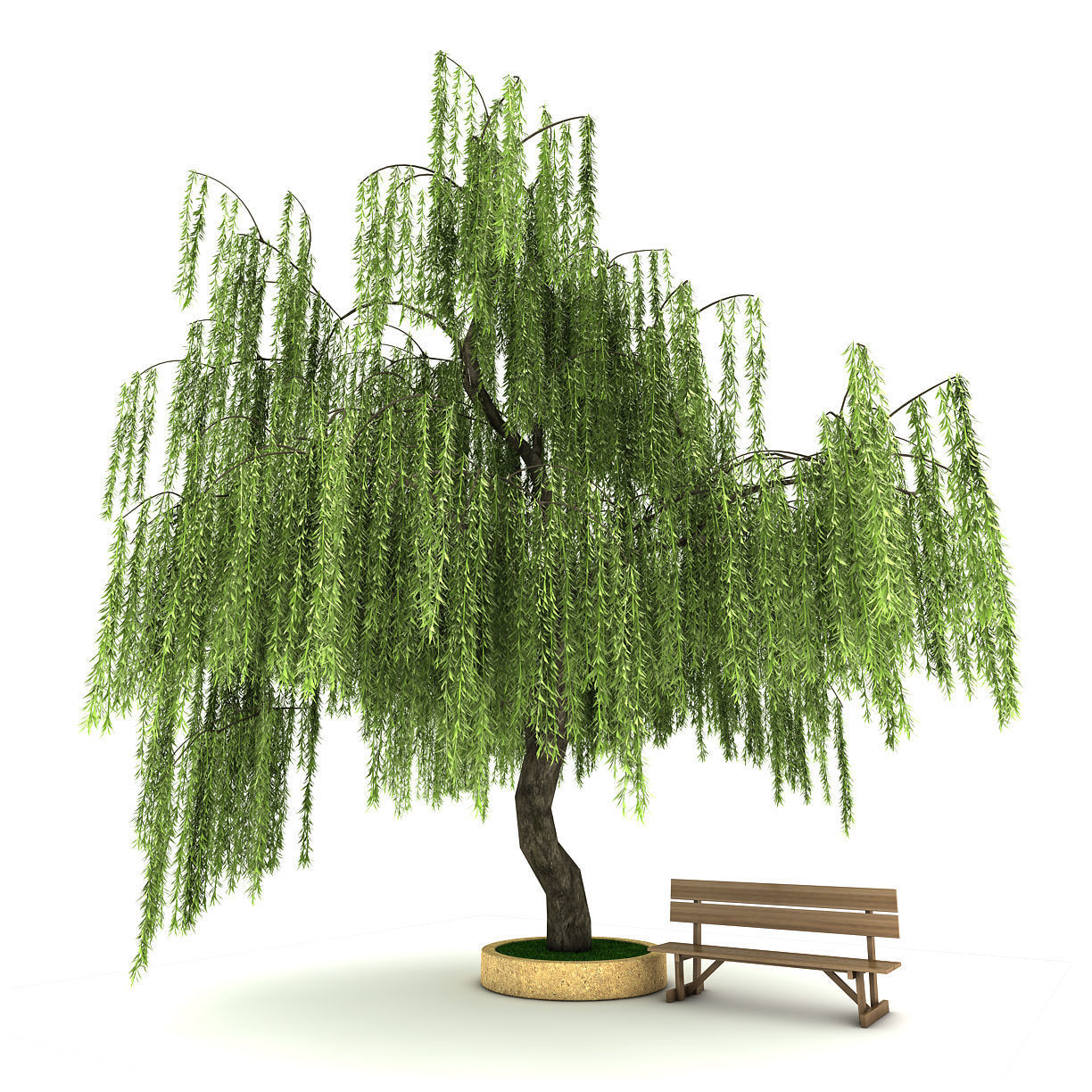 big tree 3D model | CGTrader