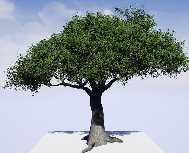 3D model Tree 3d Model VR / AR / low-poly | CGTrader