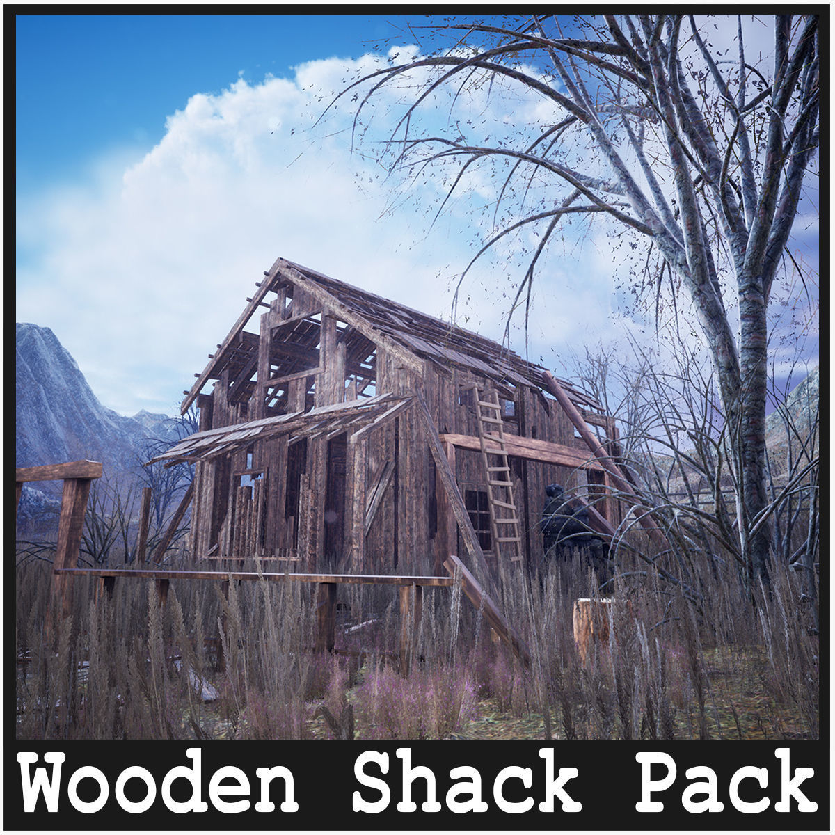 3D model Wooden Shack 250 Assets VR / AR / low-poly | CGTrader