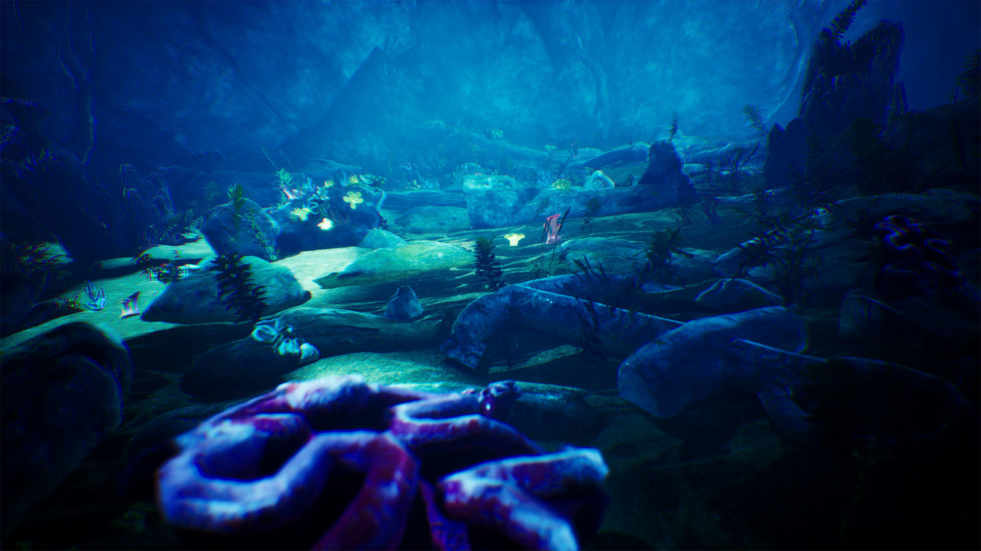 3D model Underwater World 70 Assets VR / AR / low-poly | CGTrader