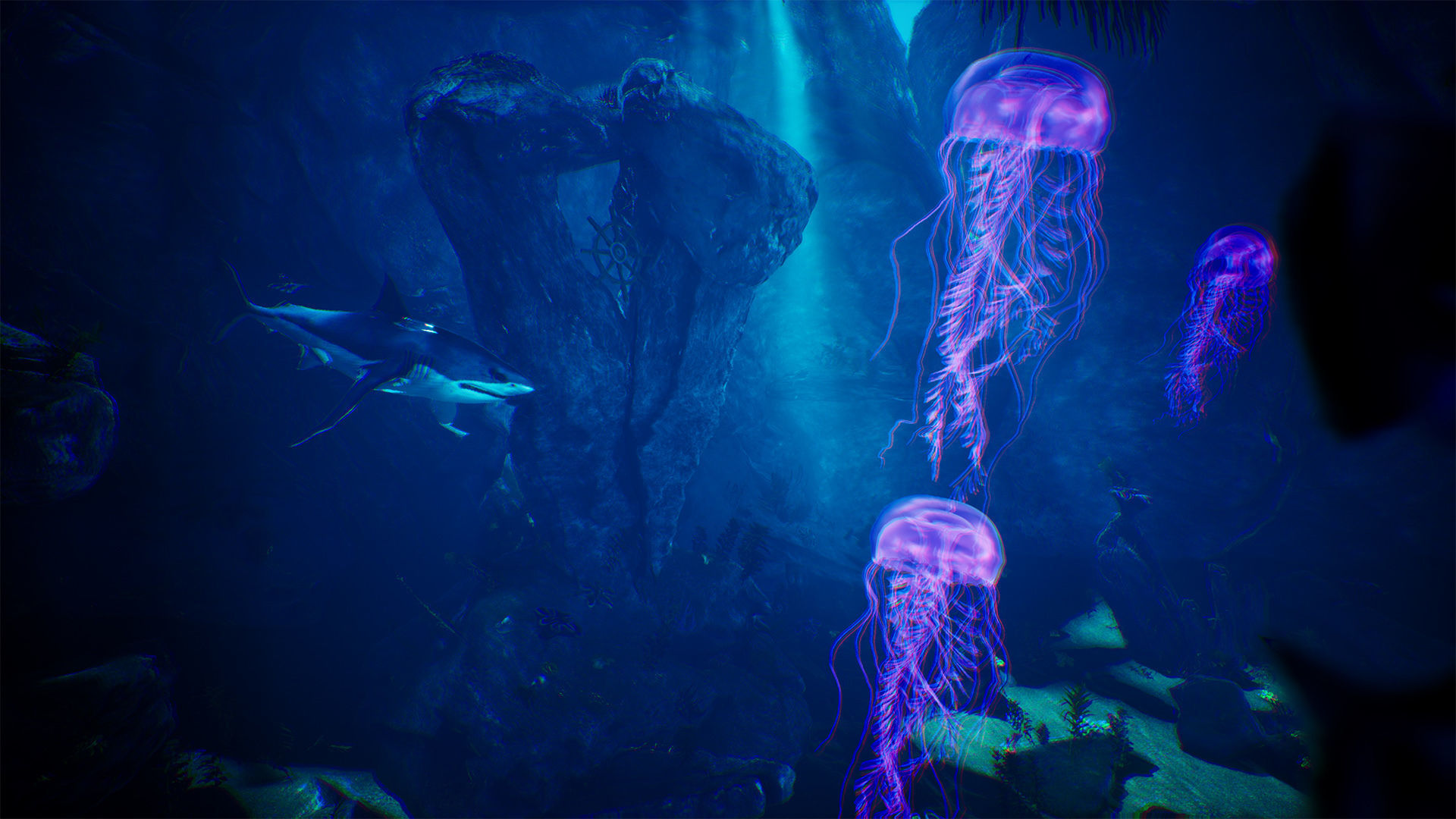 3D model Underwater World 70 Assets VR / AR / low-poly | CGTrader