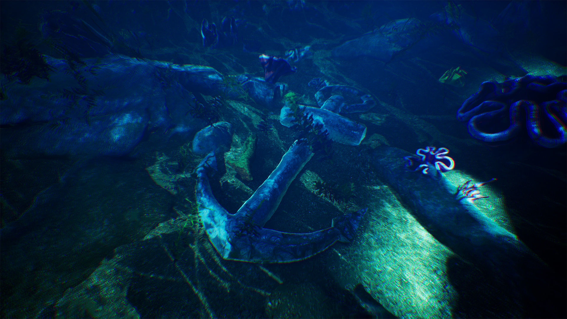 3D model Underwater World 70 Assets VR / AR / low-poly | CGTrader