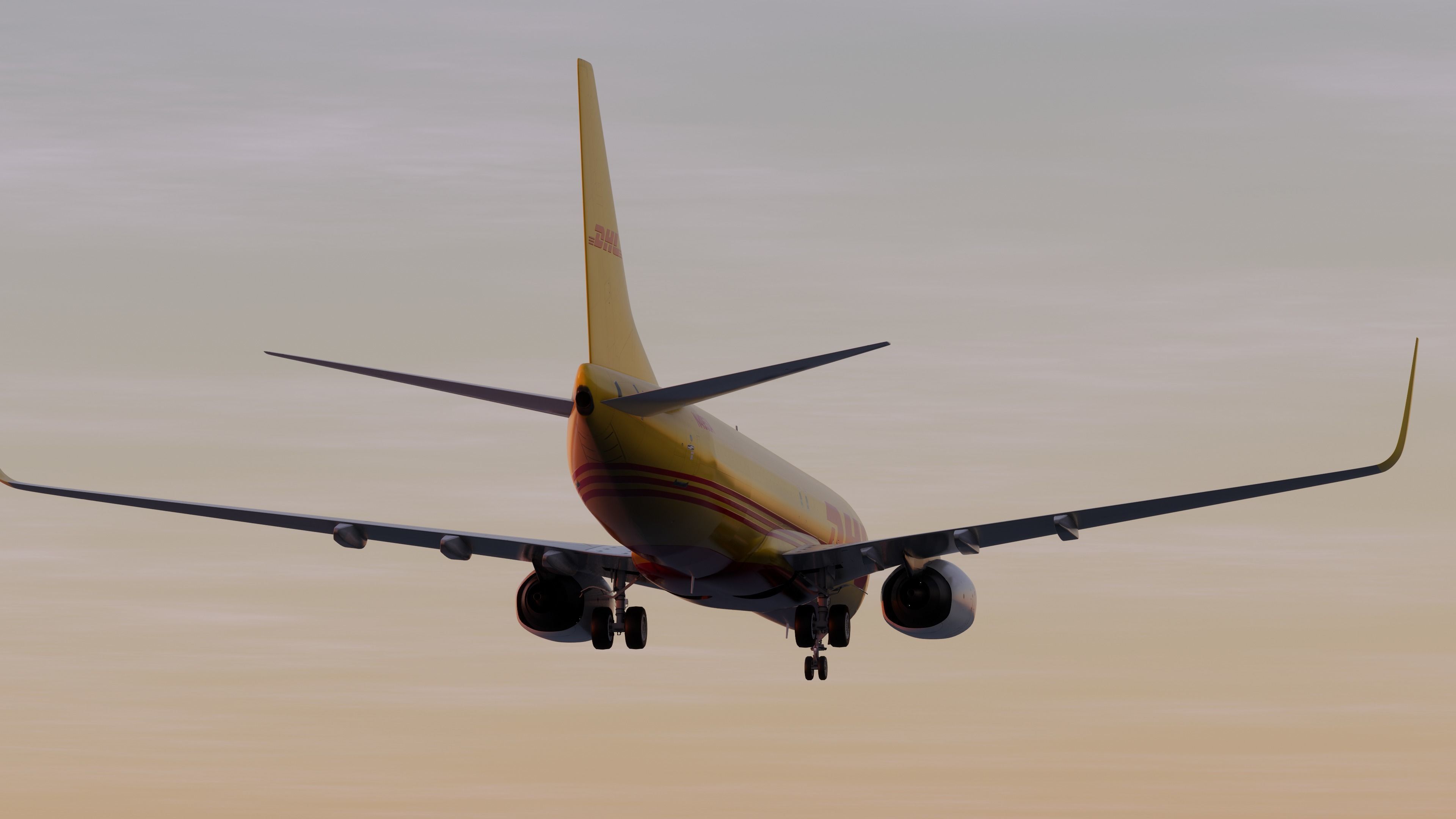 DHL Boeing 737-800 3D model | CGTrader