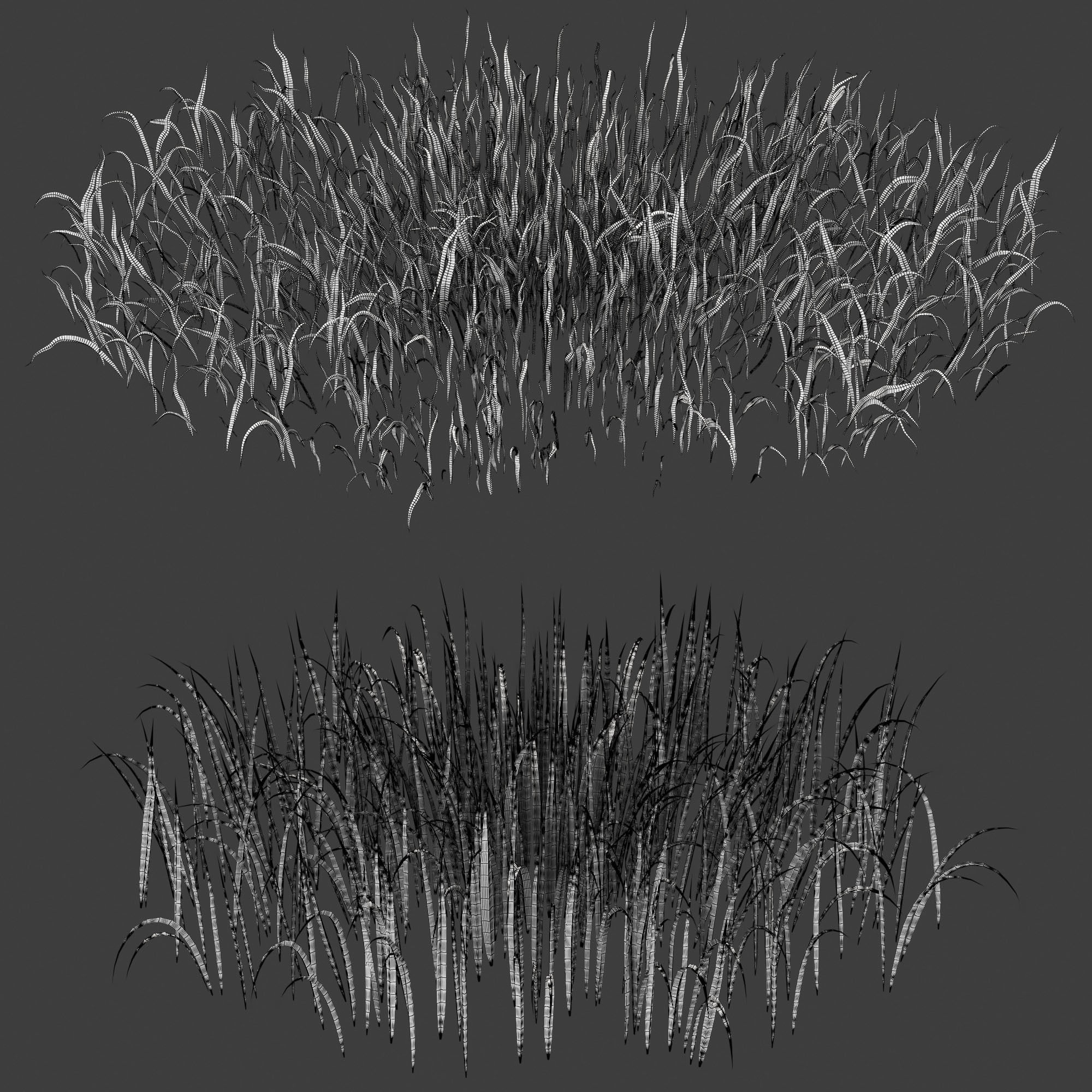 Grass 3D model | CGTrader