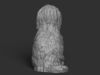 Old english sheepdog 3D model 3D printable | CGTrader