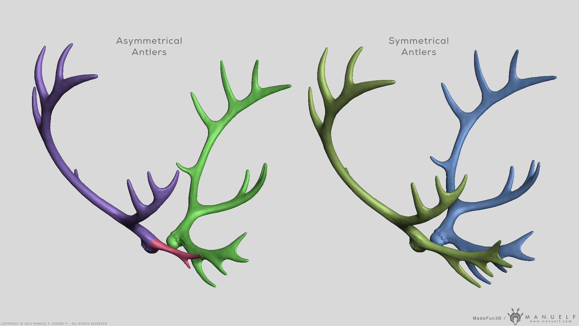 Reindeer Antlers 3D model | CGTrader