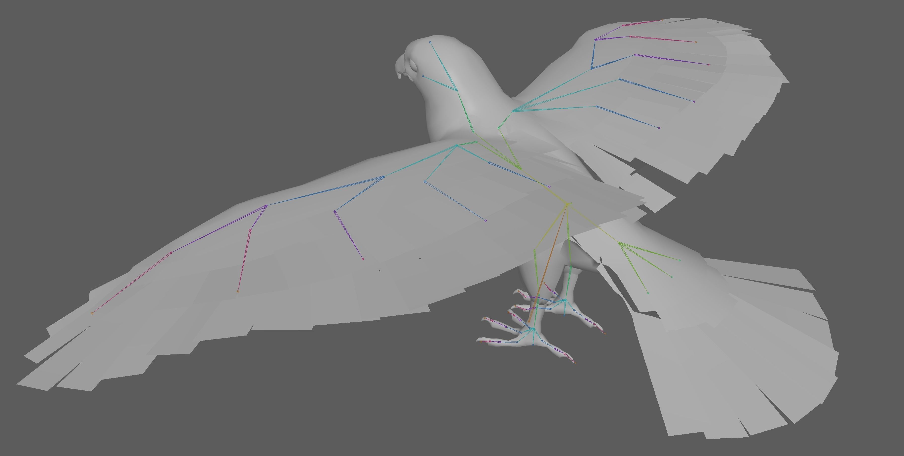 Hawk Rig 3D model rigged | CGTrader