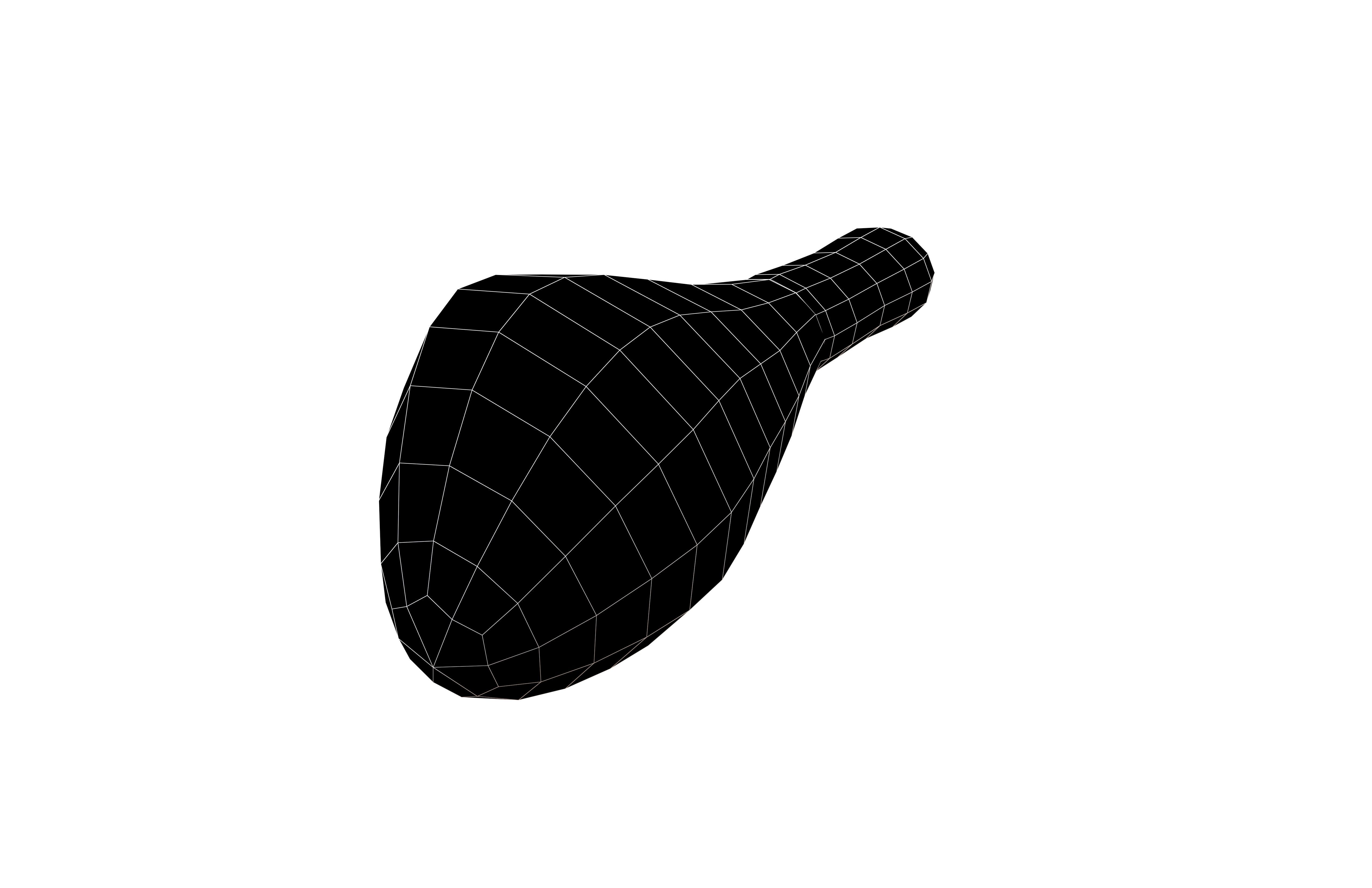3D model Turkey Leg V1 001 VR / AR / low-poly | CGTrader