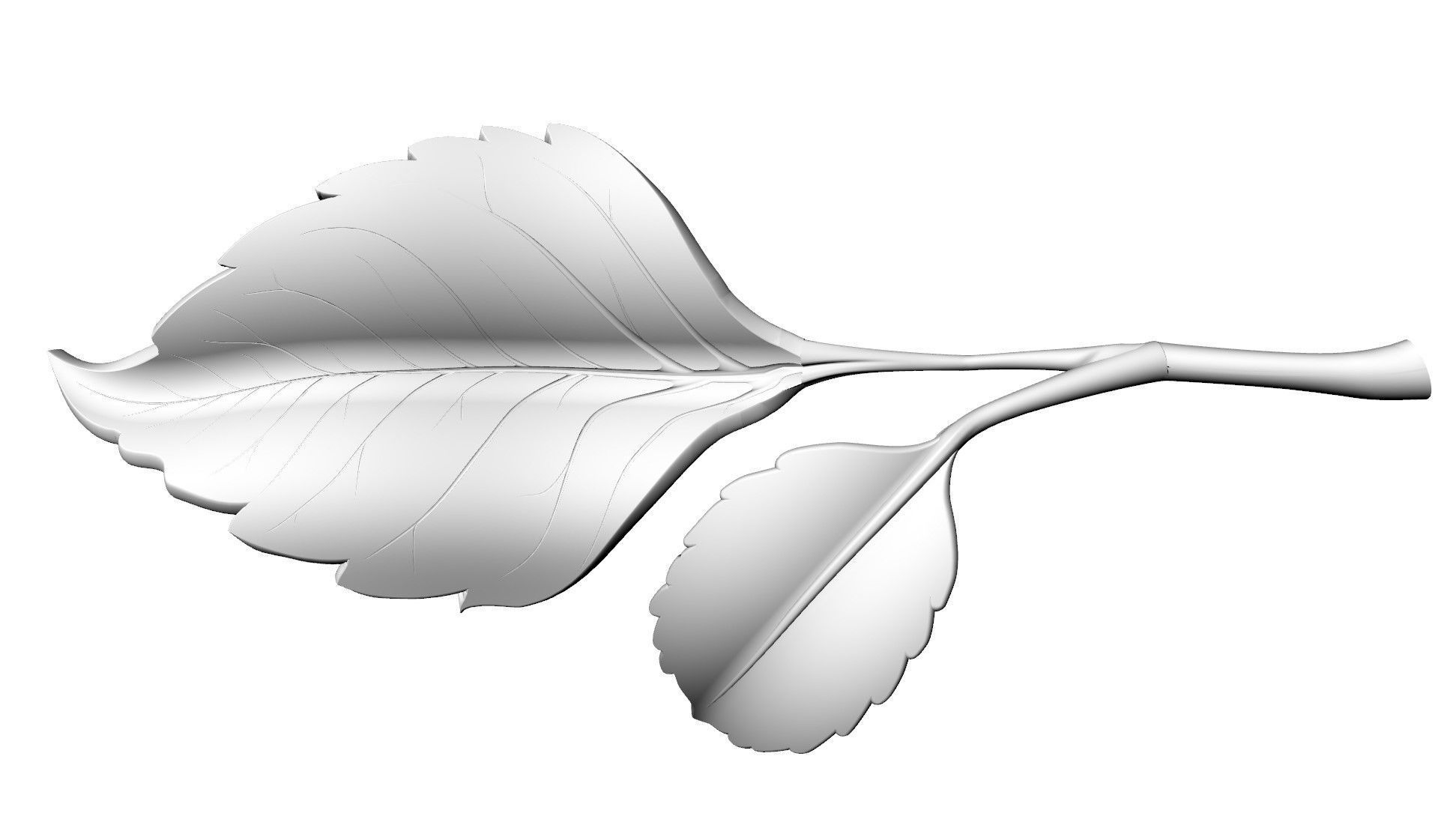 Rose Leaf 3D model | CGTrader