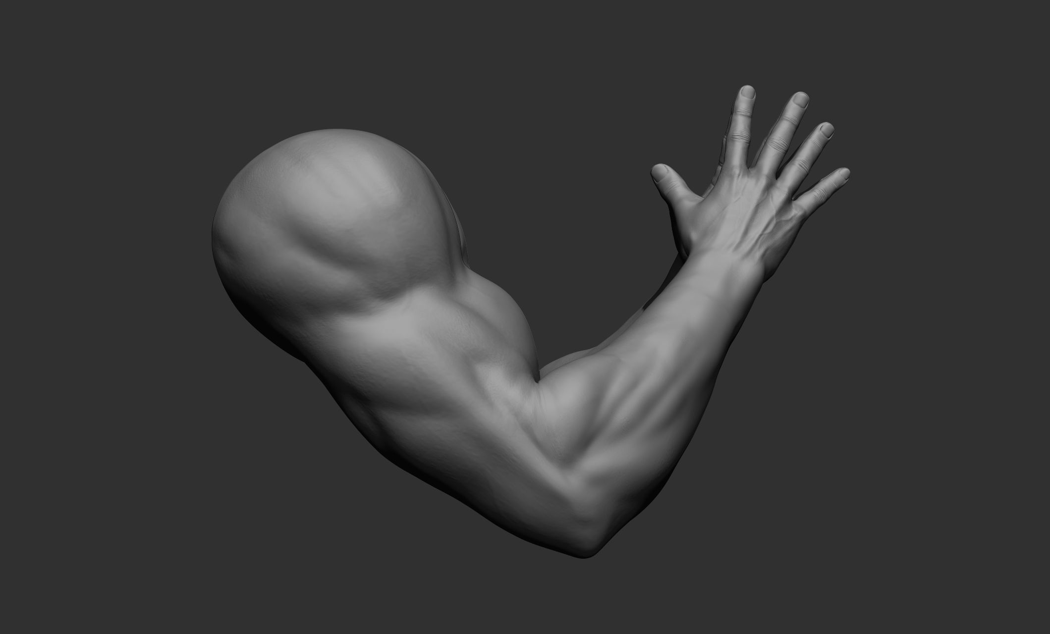 17 male arm poses 3D model | CGTrader