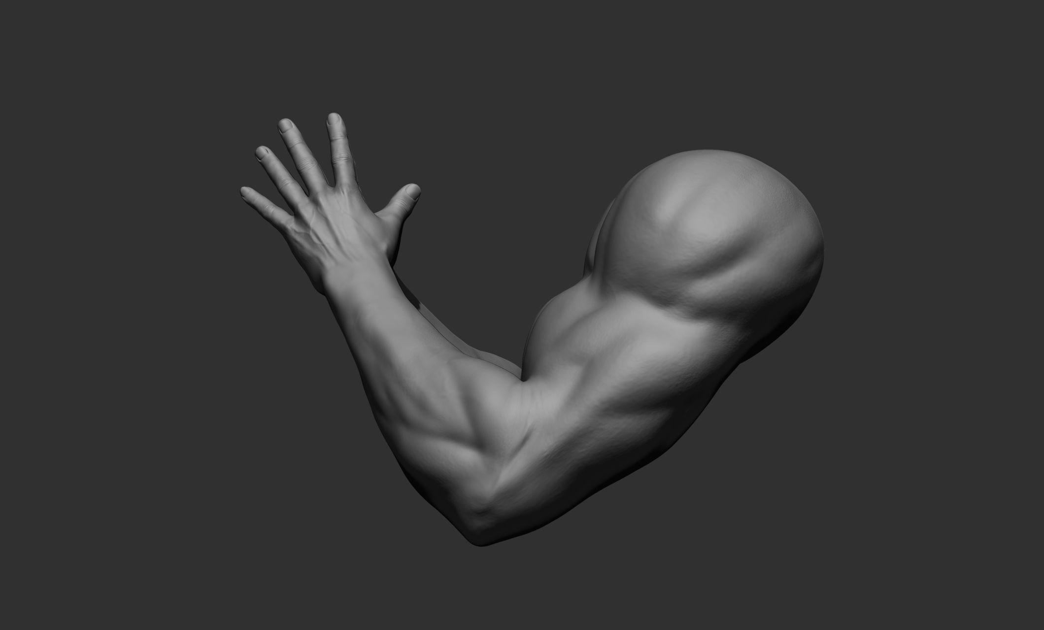 17 male arm poses 3D model | CGTrader