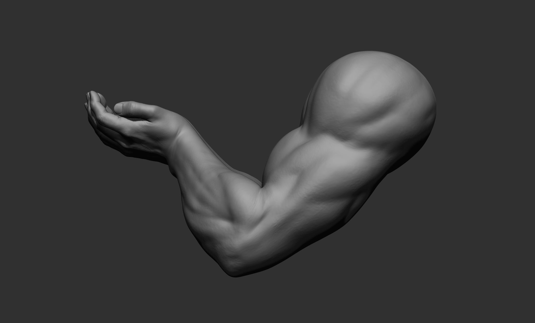 17 male arm poses 3D model | CGTrader