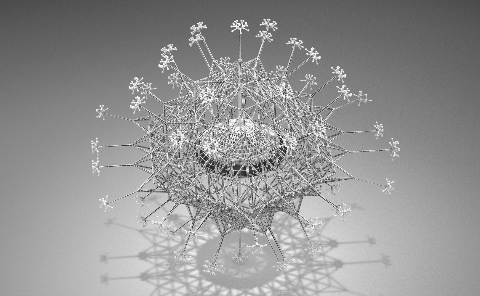 Radiolarian Phaeodaria 3D model 3D printable | CGTrader