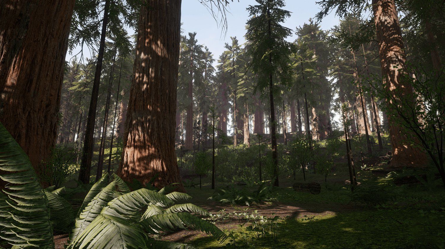 3D model Redwood forest for game ready VR / AR / low-poly | CGTrader