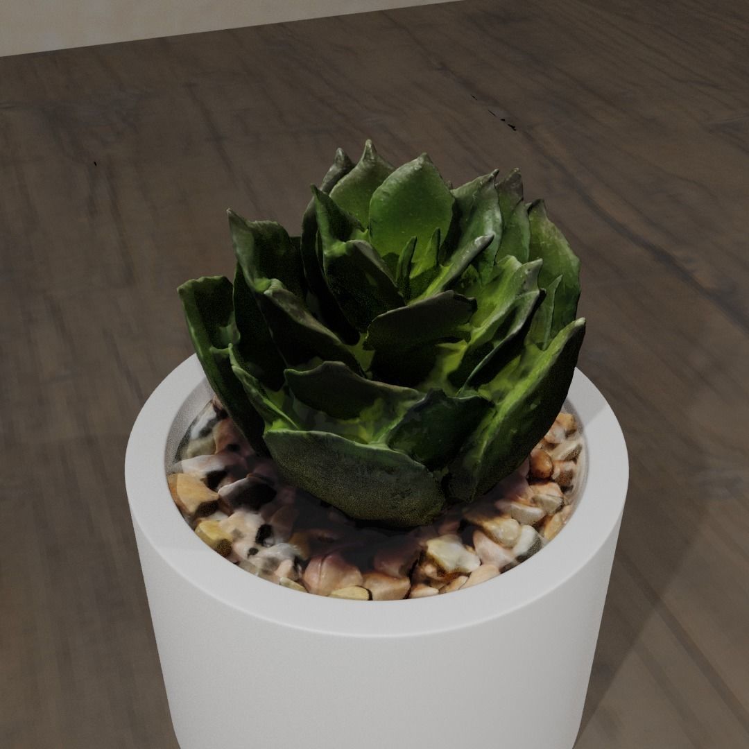 Pot Plant 3D model | CGTrader
