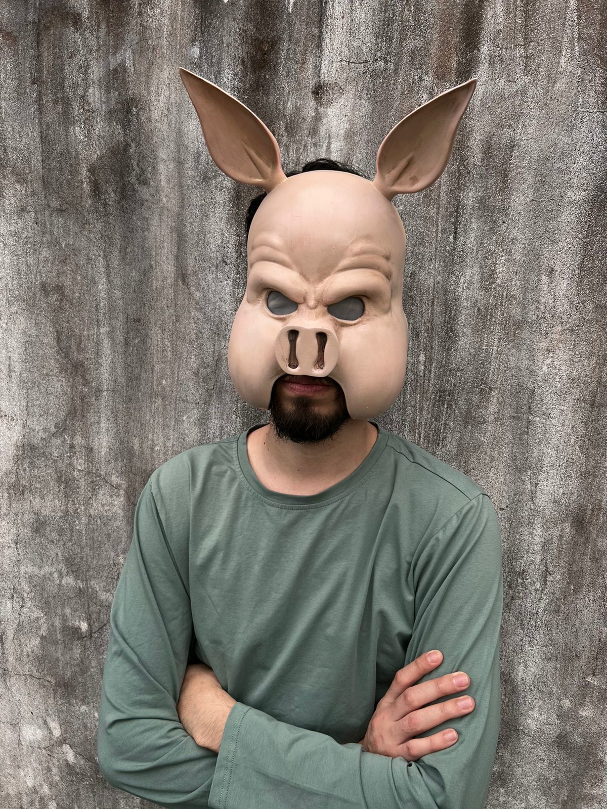 Professor Pyg 3D model 3D printable | CGTrader