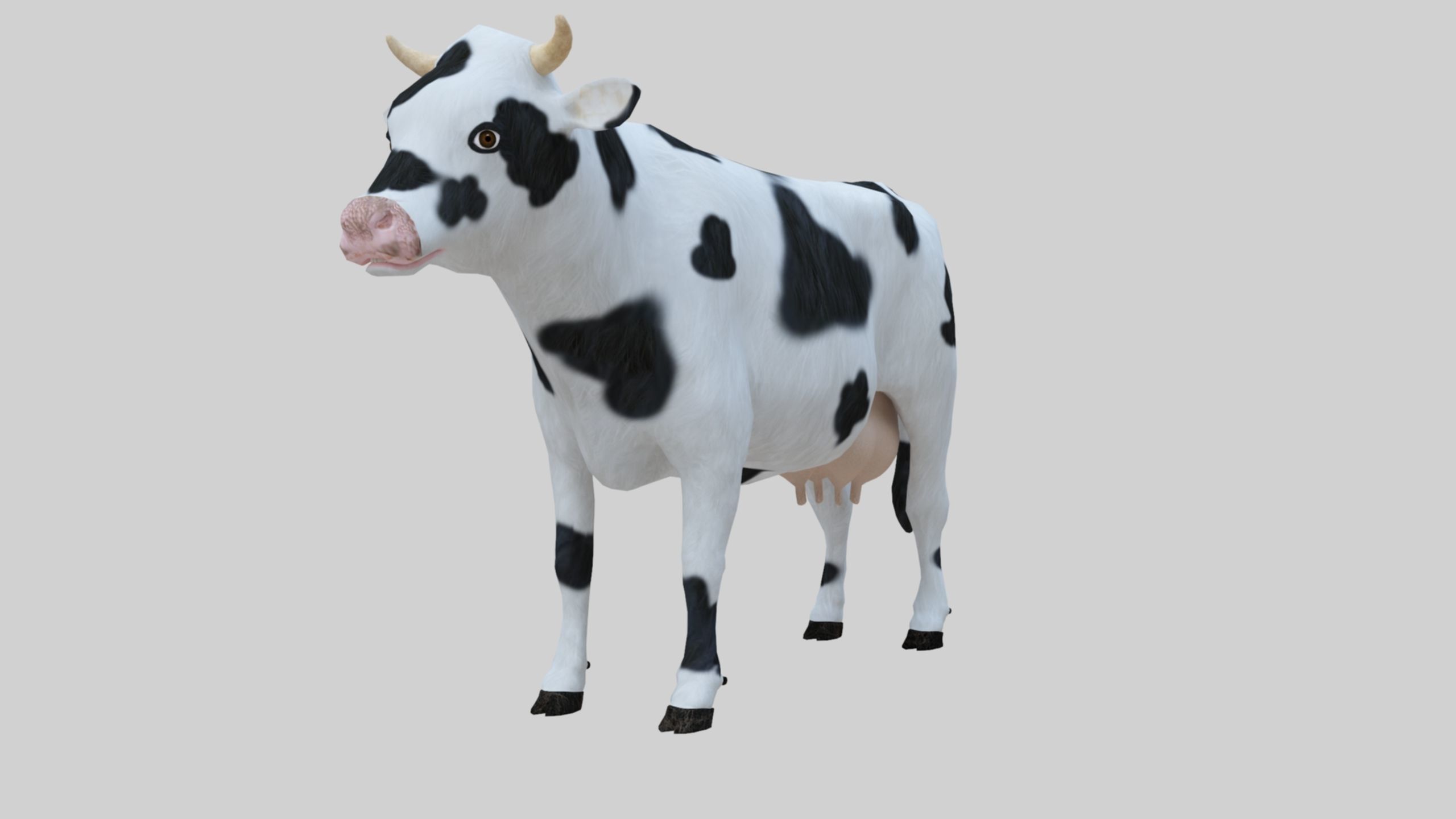 Low Poly Cow Collection - 3 Cow Models - 4K - Unwrapped VR / AR / low-poly | CGTrader