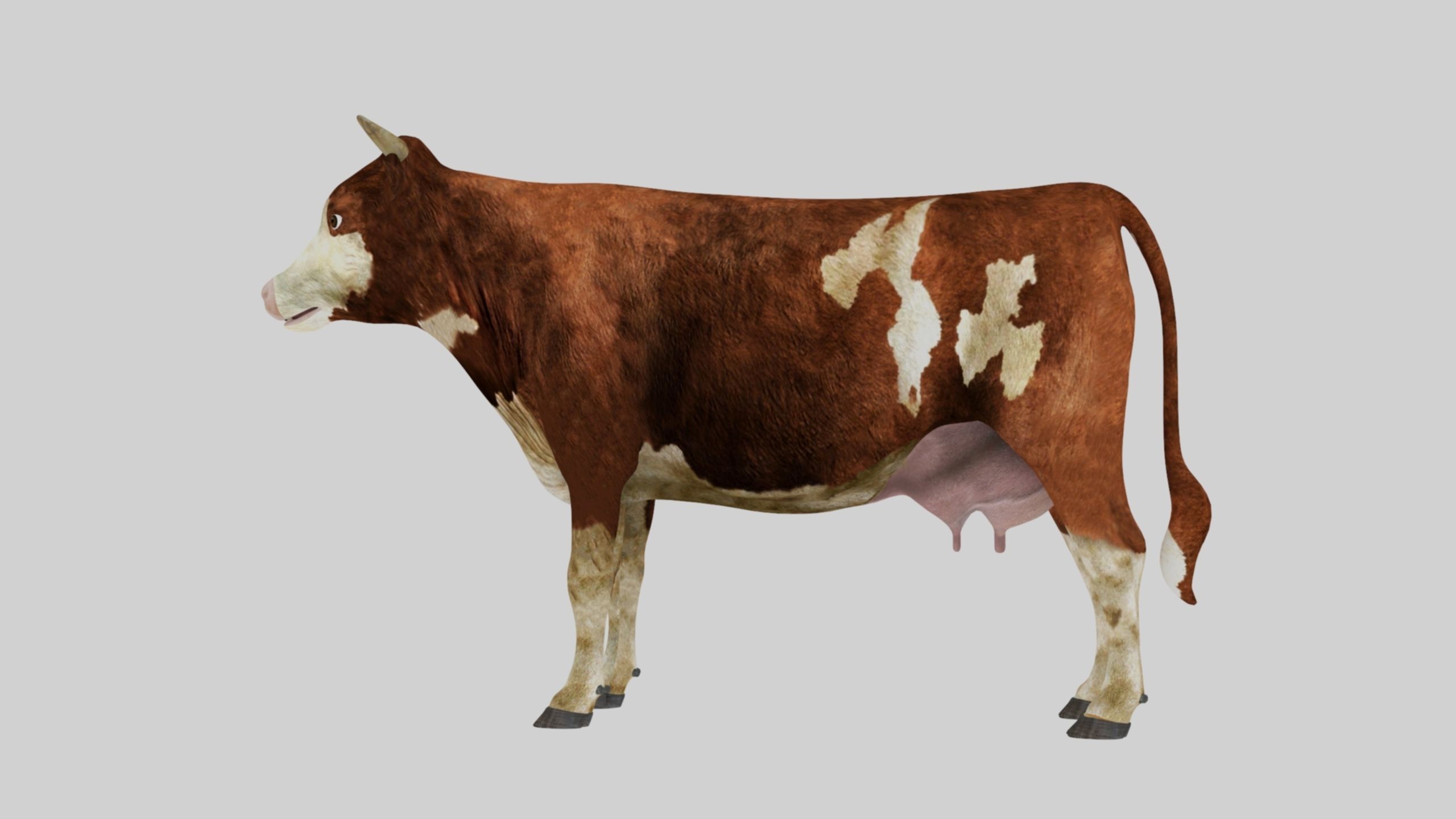 Low Poly Cow Collection - 3 Cow Models - 4K - Unwrapped | CGTrader