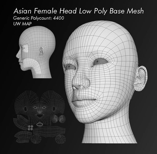 ASIAN HEAD WOMAN LOW POLY BASE MESH 3D model | CGTrader
