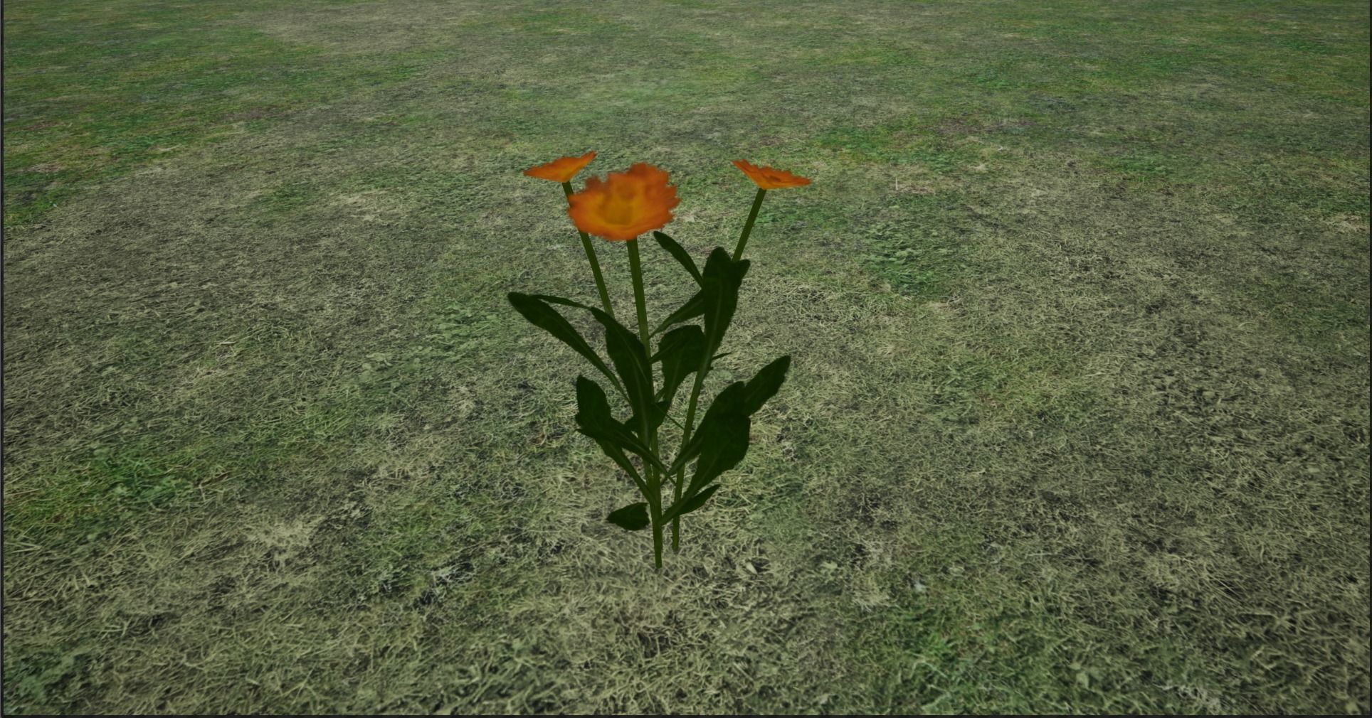 3D model Marigold Orange Flowers VR / AR / low-poly | CGTrader