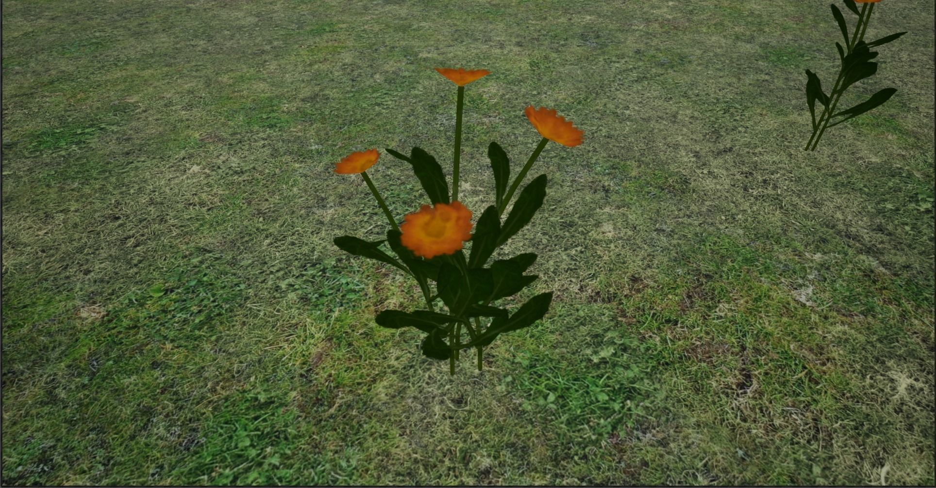 3D model Marigold Orange Flowers VR / AR / low-poly | CGTrader