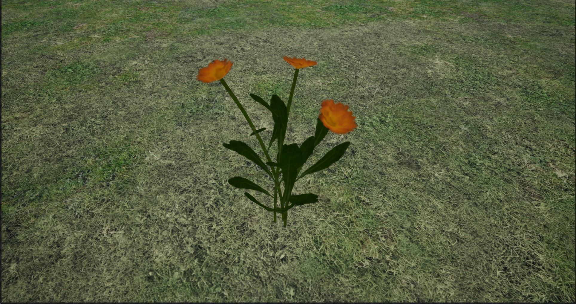 3D model Marigold Orange Flowers VR / AR / low-poly | CGTrader