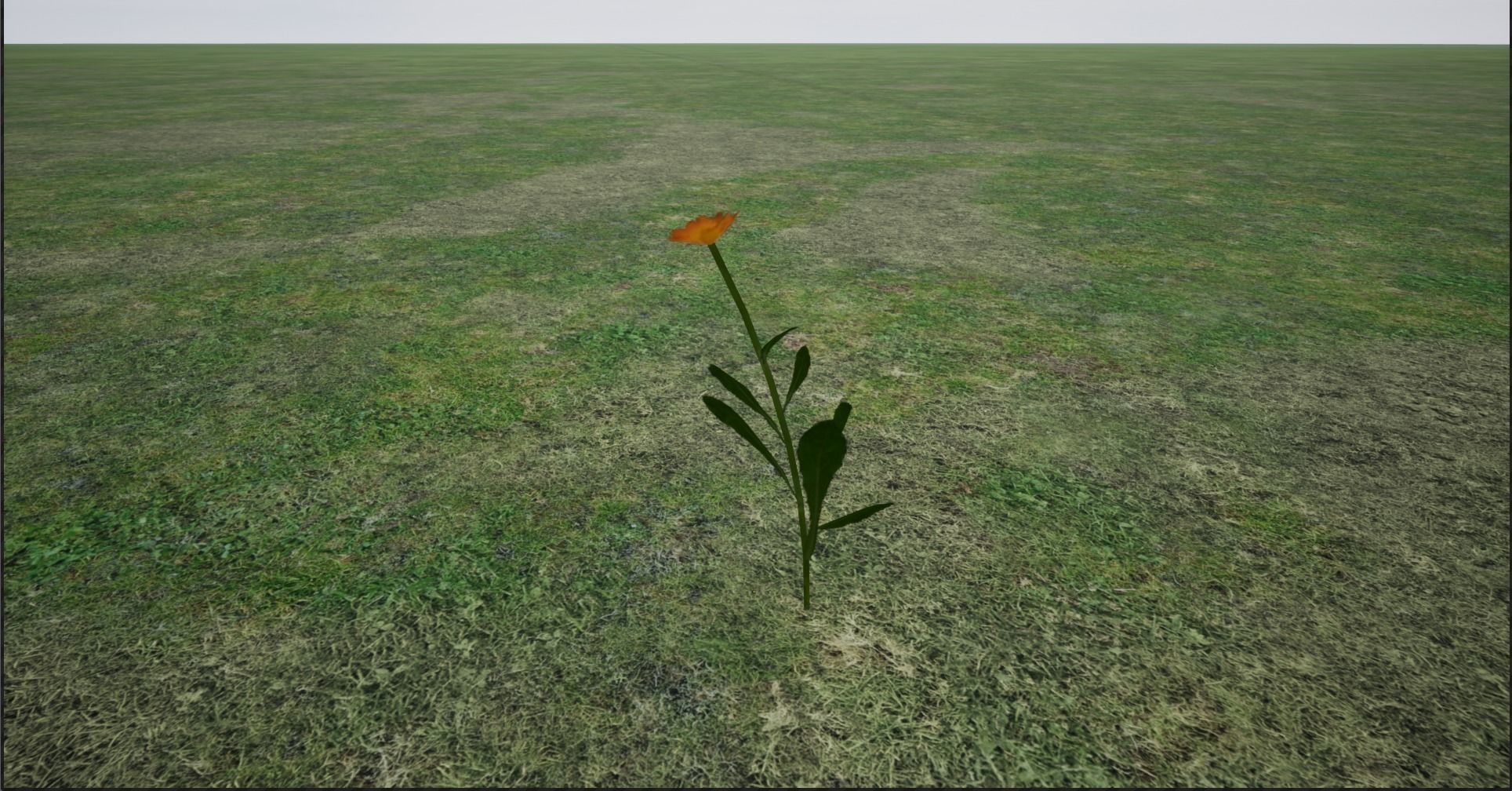 3D model Marigold Orange Flowers VR / AR / low-poly | CGTrader