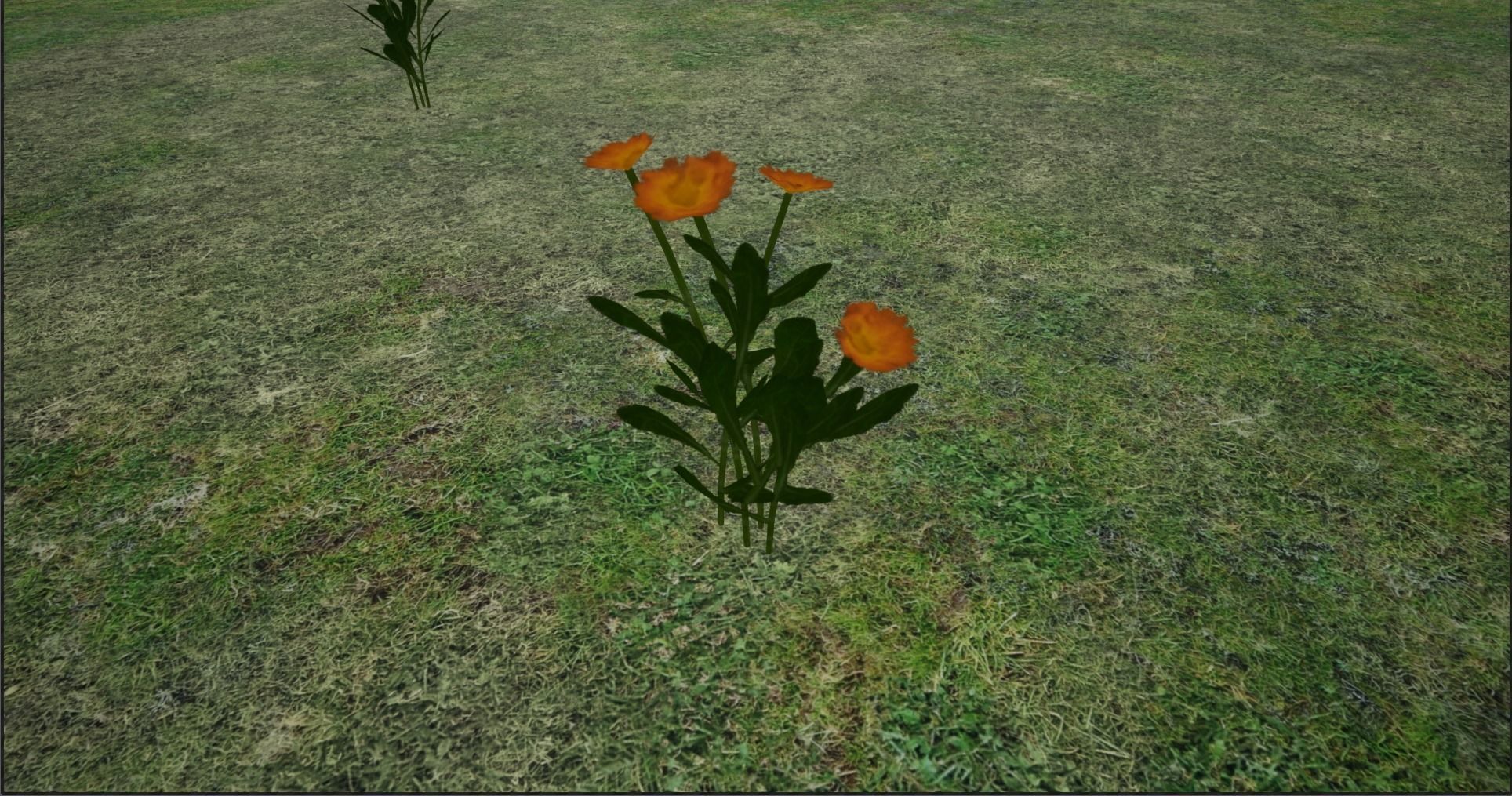 3D model Marigold Orange Flowers VR / AR / low-poly | CGTrader