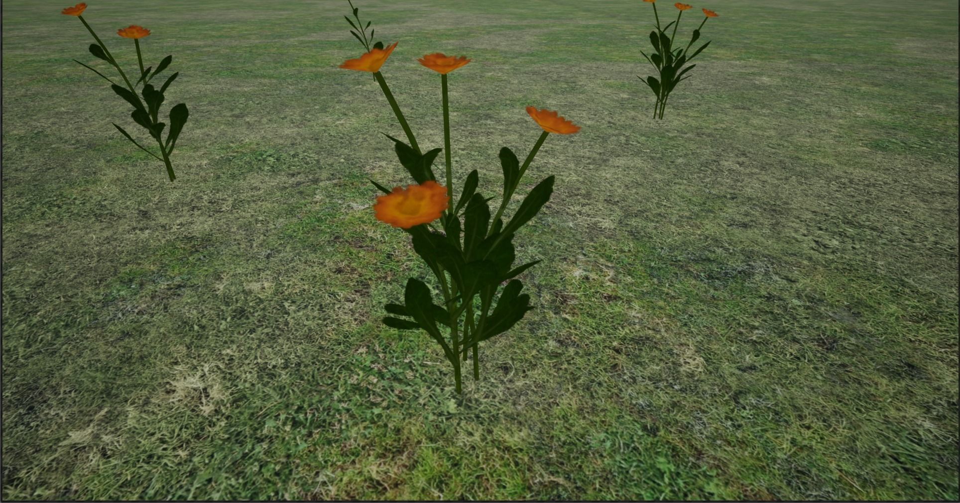 3D model Marigold Orange Flowers VR / AR / low-poly | CGTrader