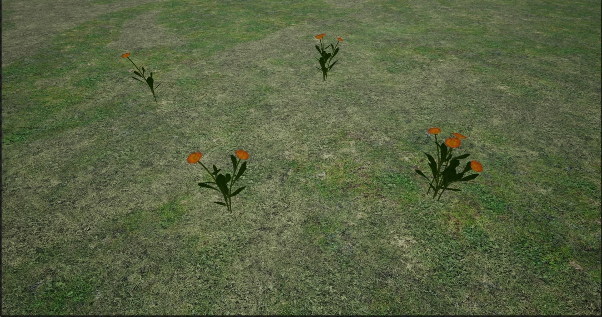 3D model Marigold Orange Flowers VR / AR / low-poly | CGTrader