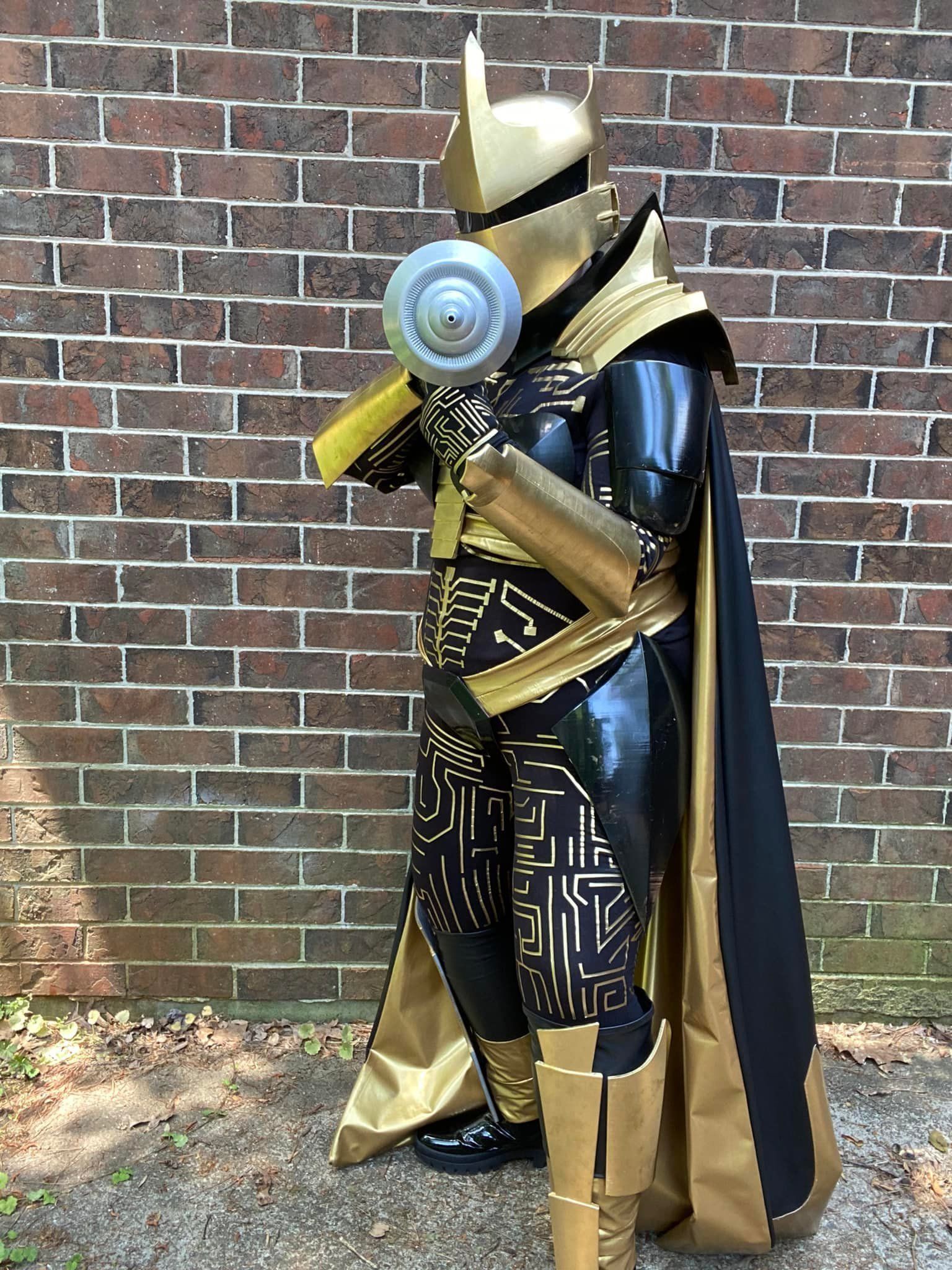 Royal Pain Pelvic Armor 3D model 3D printable | CGTrader