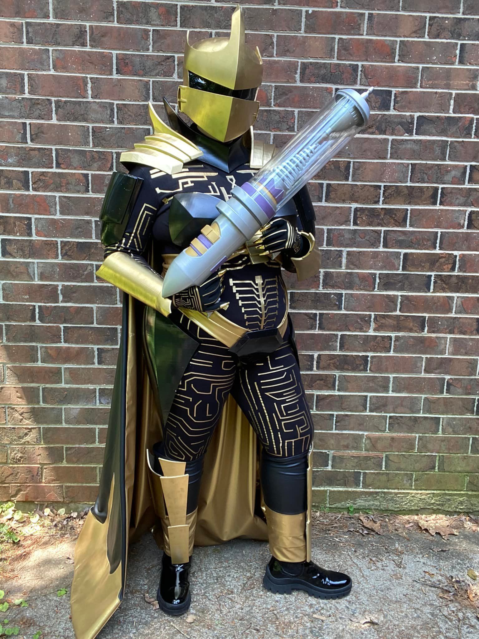 Royal Pain Pelvic Armor 3D model 3D printable | CGTrader