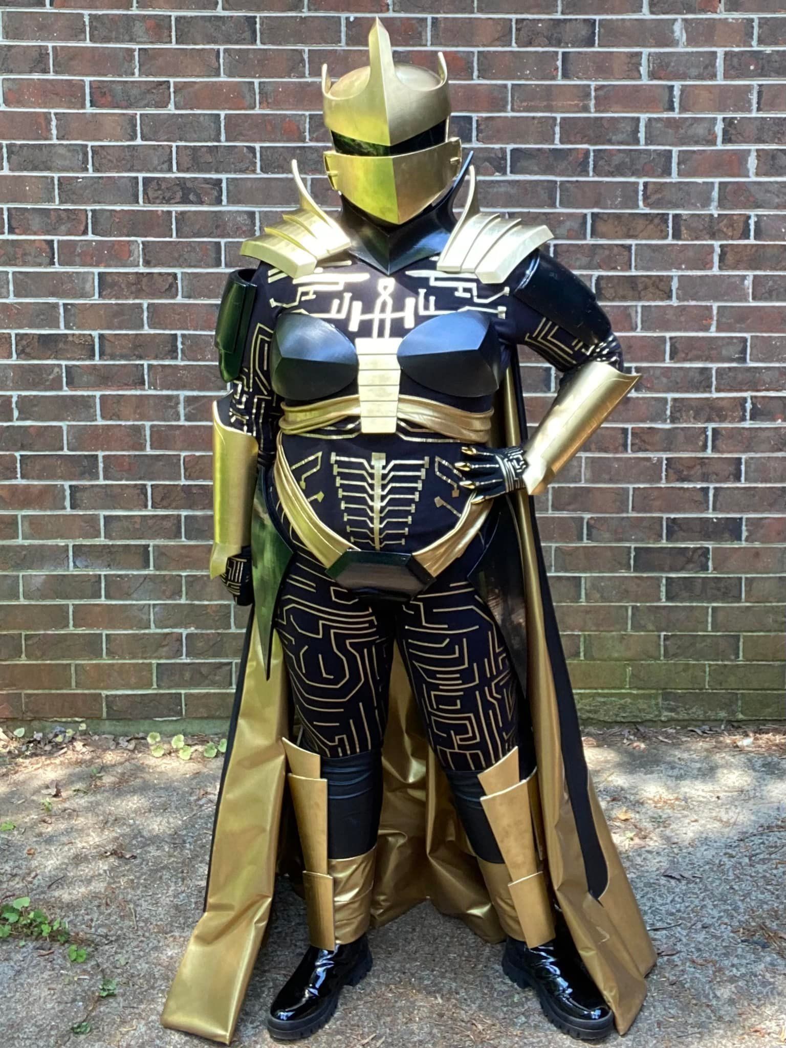 Royal Pain Pelvic Armor 3D model 3D printable | CGTrader