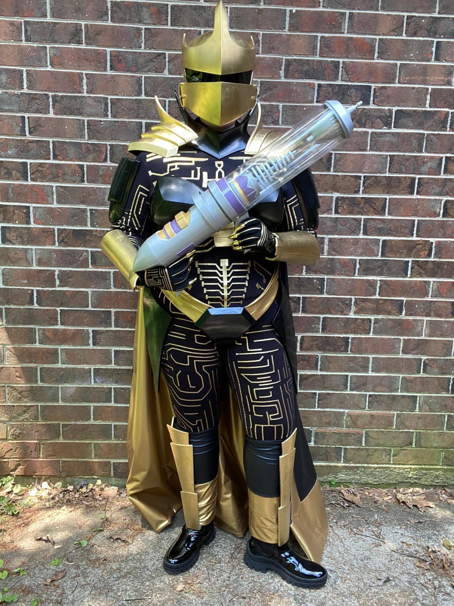 Royal Pain Pelvic Armor 3D model 3D printable | CGTrader