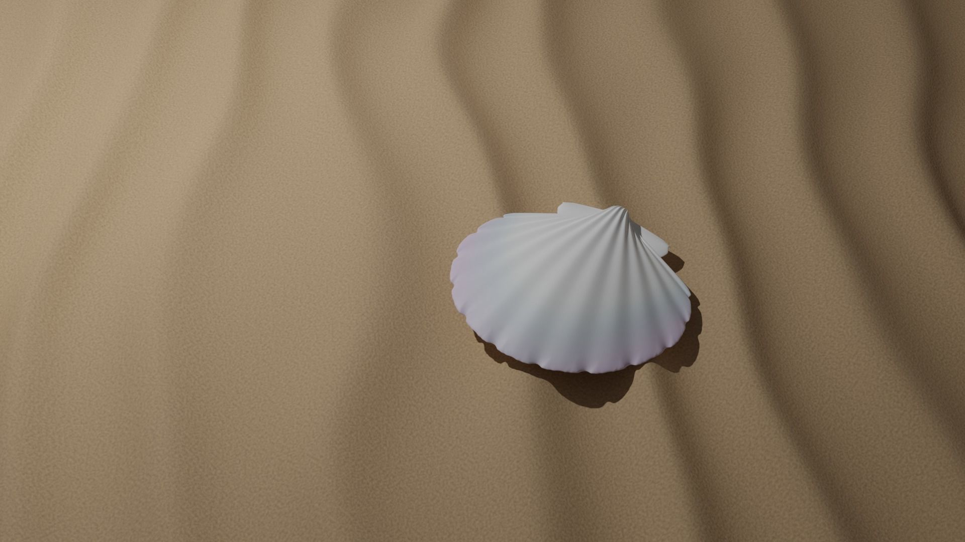 Shell seashell free 3D model | CGTrader