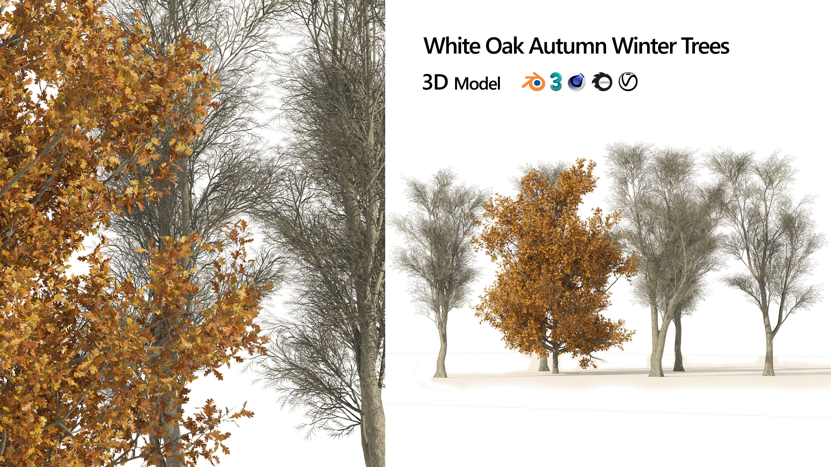 3D model winter and fall oak trees VR / AR / low-poly | CGTrader