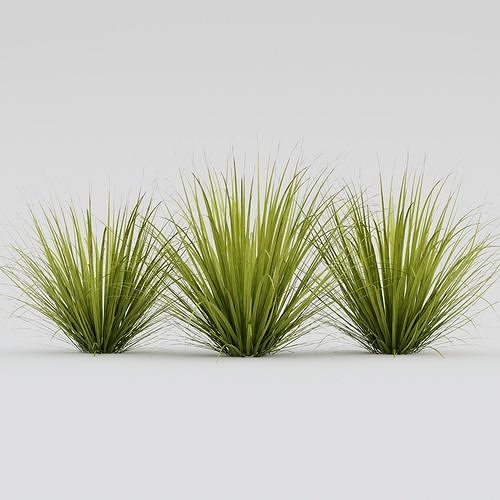 Long Grass 3D model | CGTrader