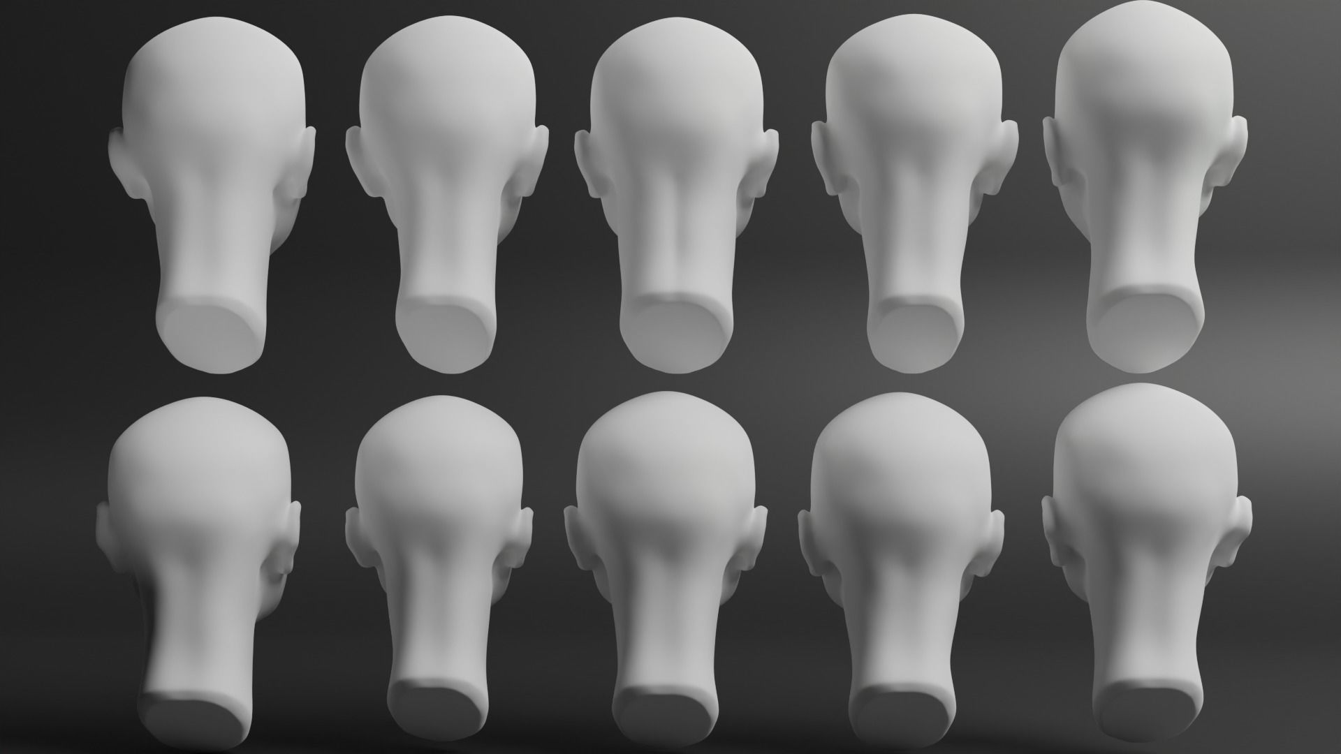 Female Head Ecorche 3D model | CGTrader