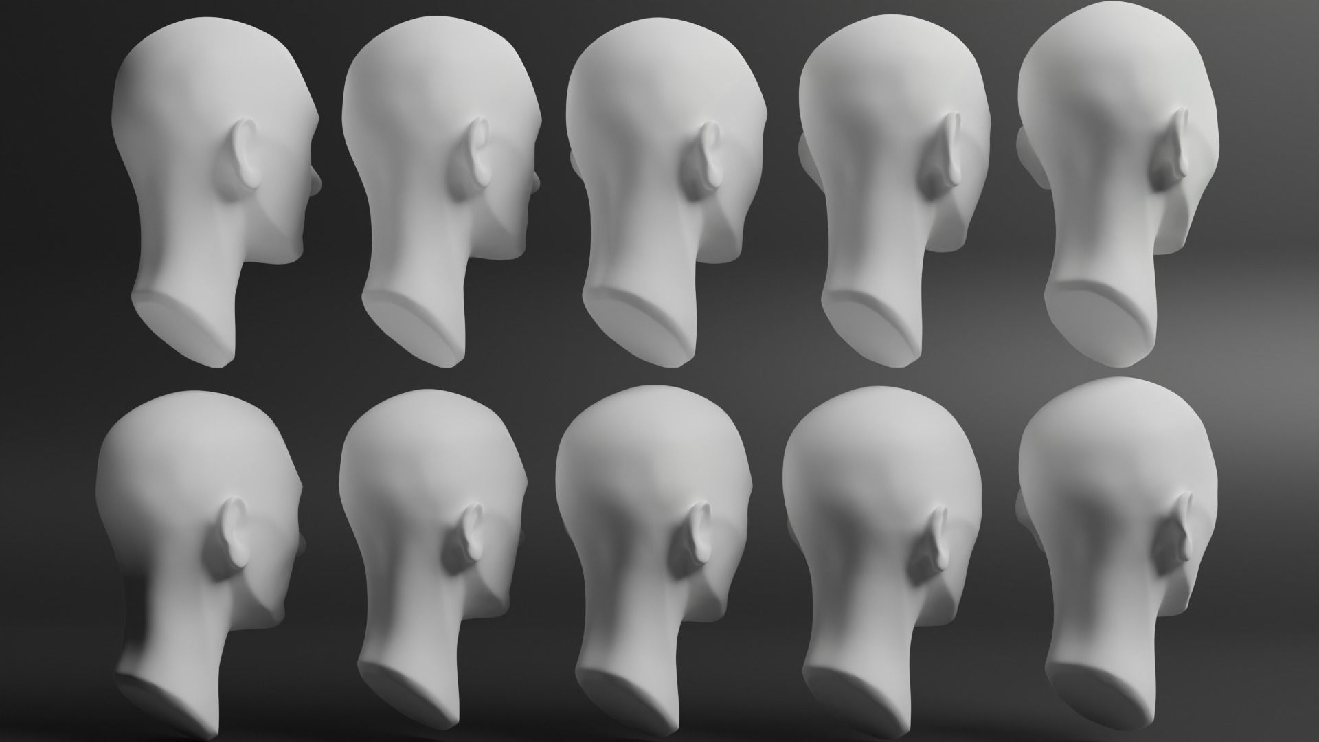 Female Head Ecorche 3D model | CGTrader