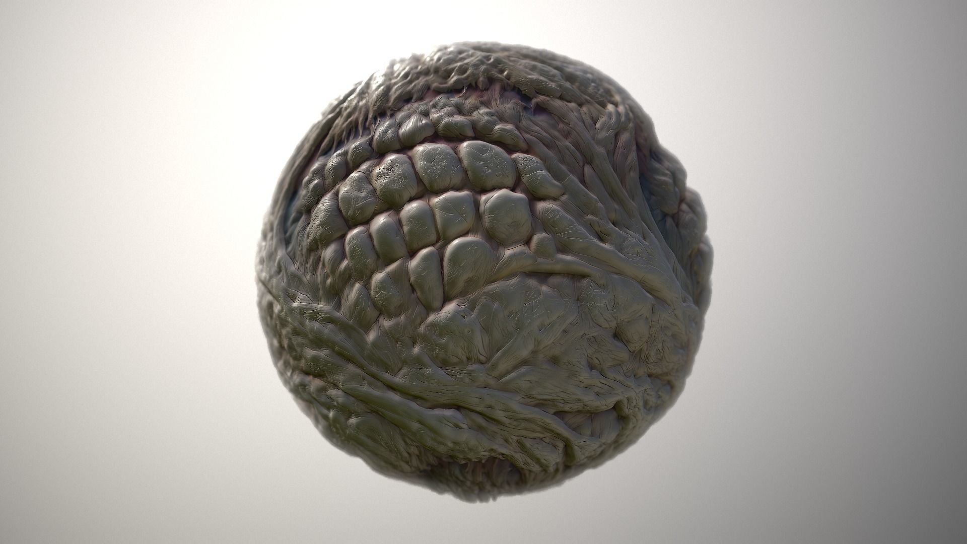 Material Skin Monster 29 Seamless PBR Texture Texture | CGTrader