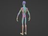 Stylized Thin Man Anatomy Blockout 3D model | CGTrader