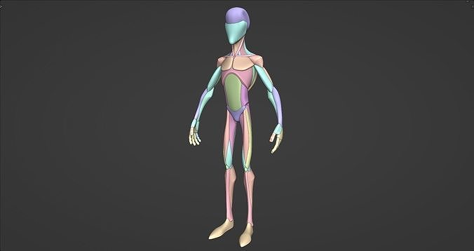Stylized Thin Man Anatomy Blockout 3D model | CGTrader