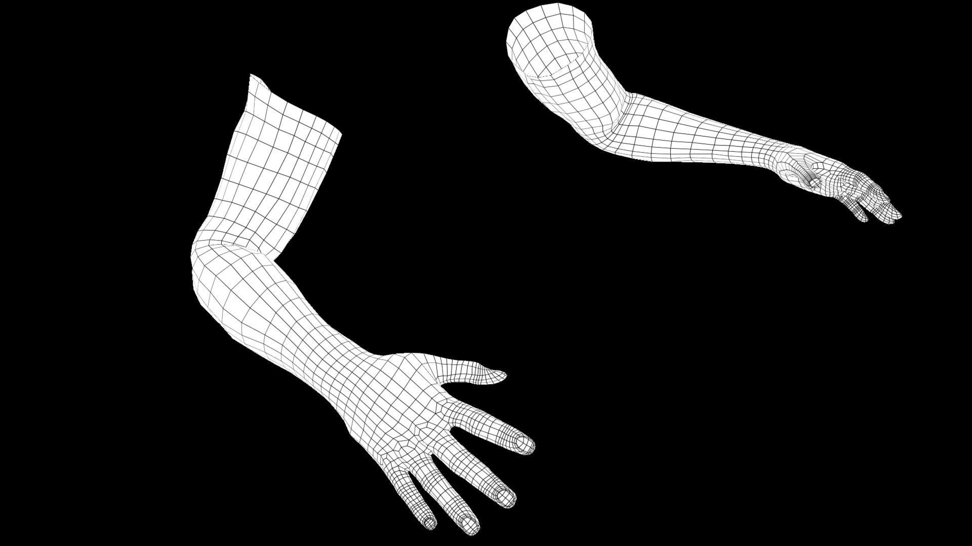 Hands Rigged 3D model rigged | CGTrader
