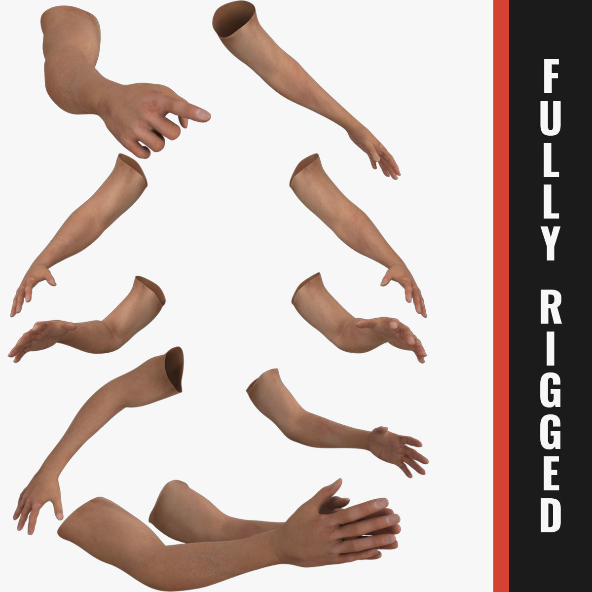 Hands Rigged 3D model rigged | CGTrader