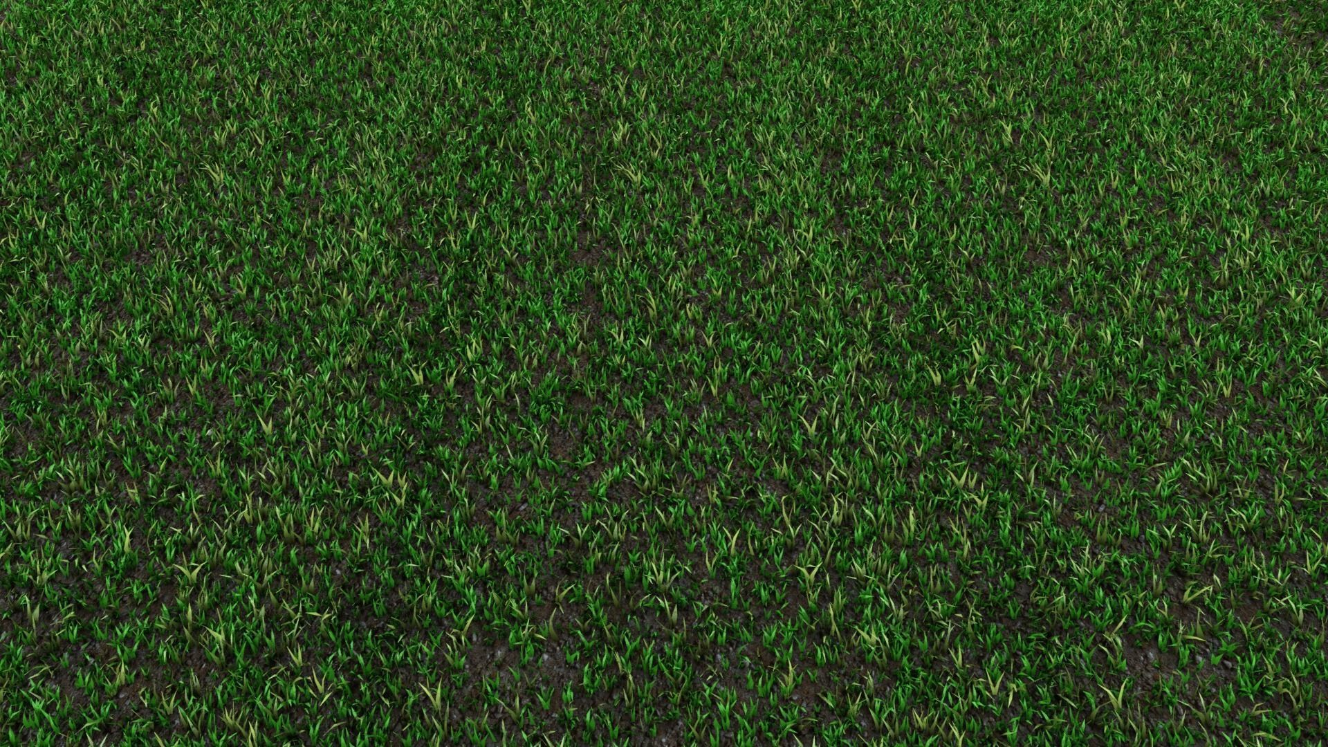 Lawn Grass 3D model | CGTrader