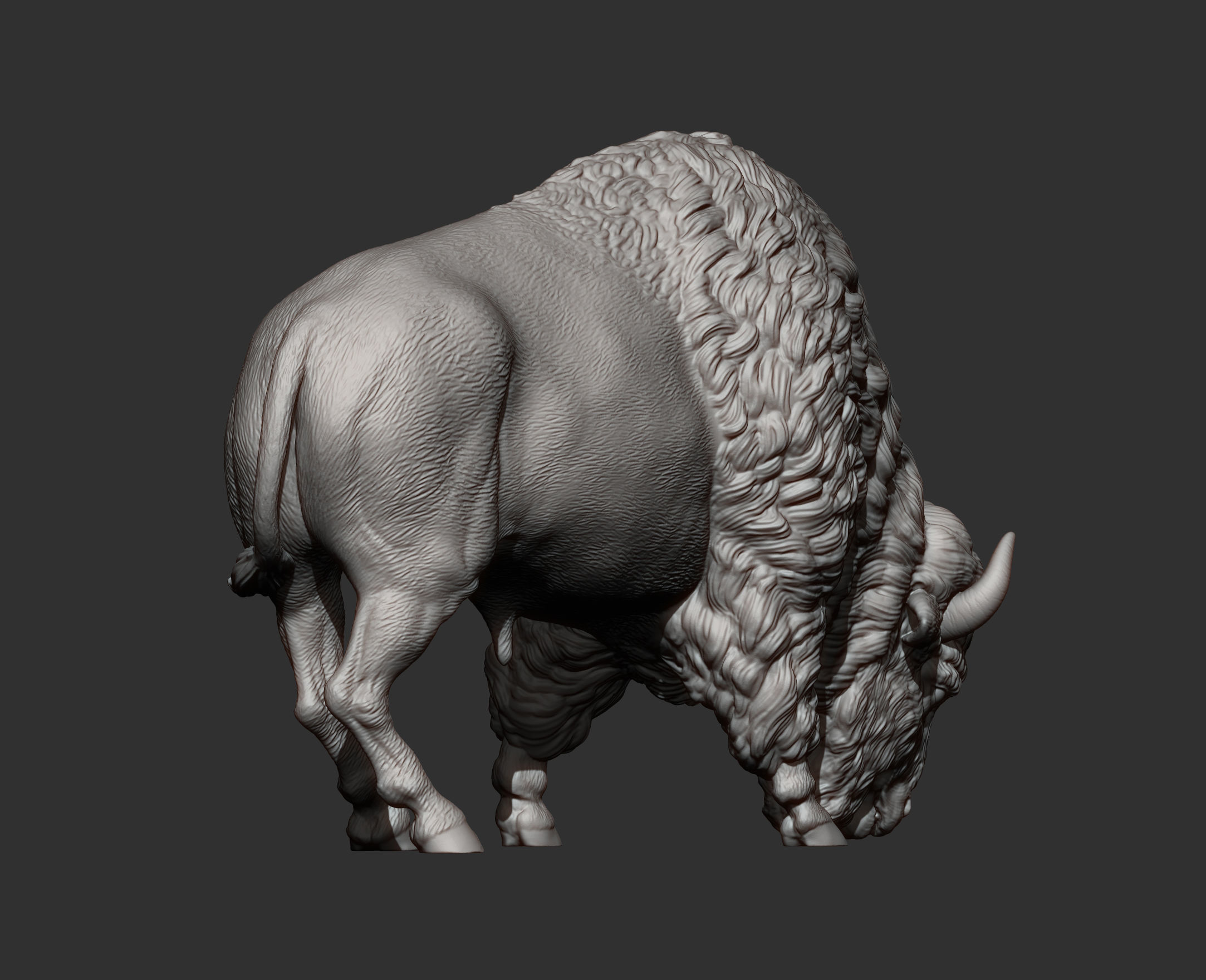 Bison 3D model 3D printable | CGTrader
