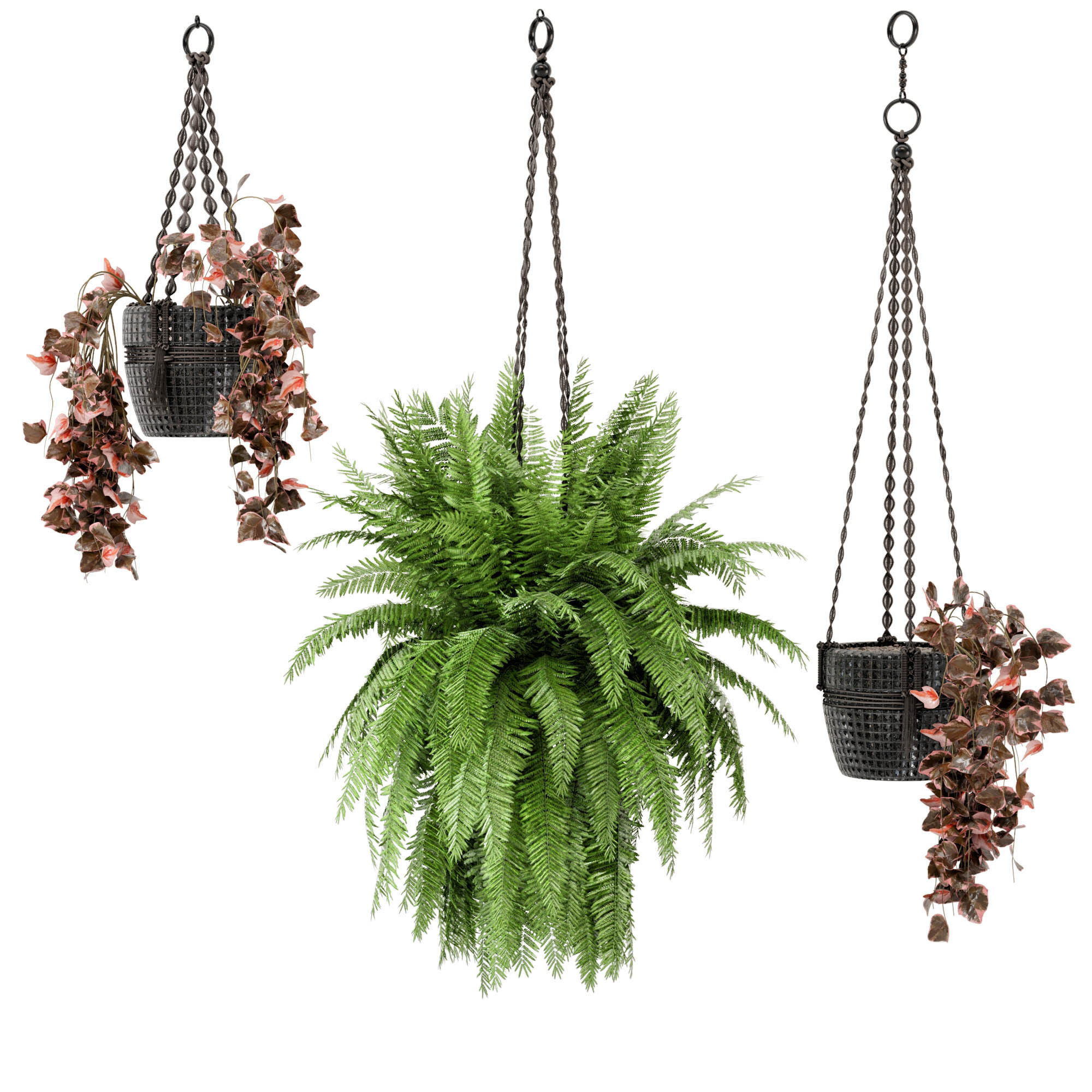 Indoor Plants in rusty Concrete Pot with Macrame - Set 29 3D model | CGTrader
