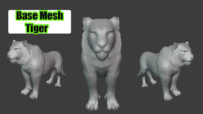 3D model Tiger Base Mesh For games and animation VR / AR / low-poly | CGTrader