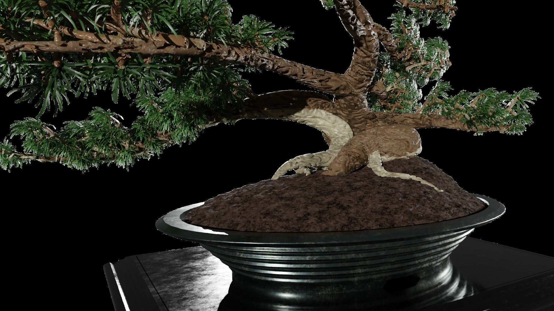 High Detailed Bonsai Tree 3D model | CGTrader