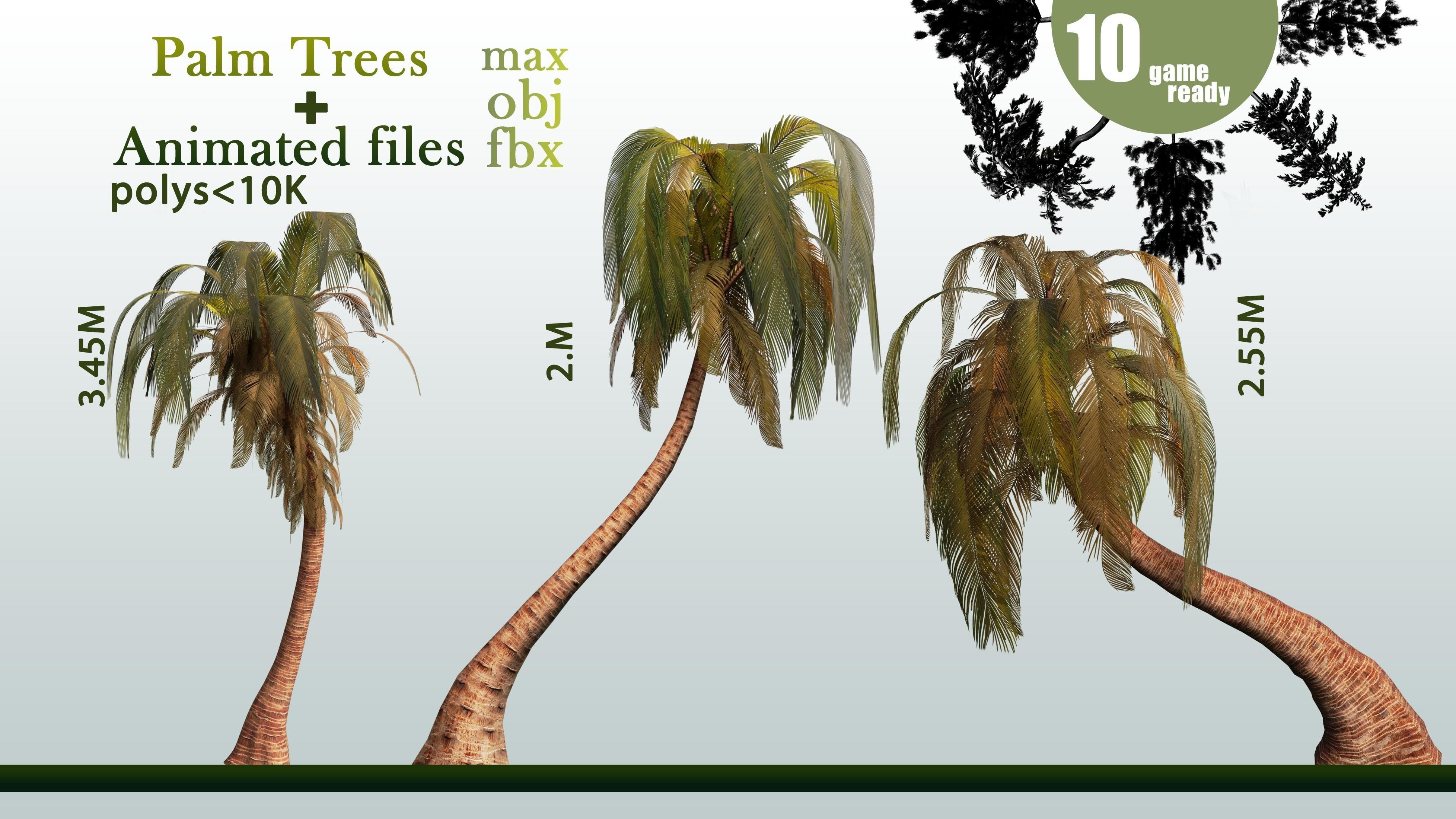 3D model 10 Palm Trees VOL 04 And Animated Files VR / AR / low-poly ...